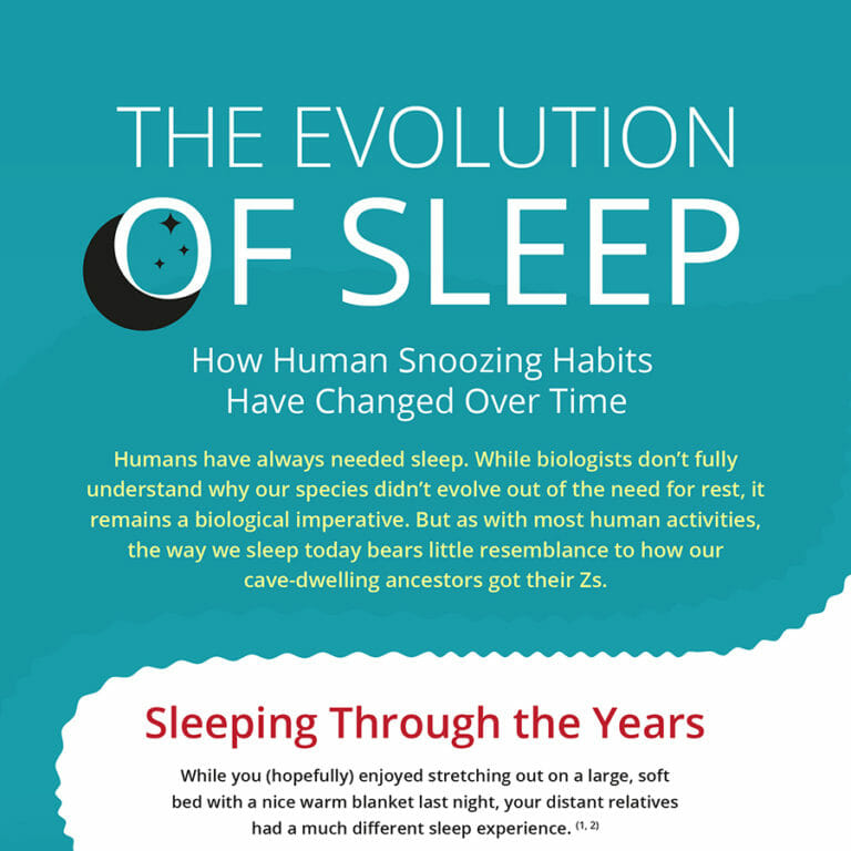 The Evolution of Sleep - A Brief History - Online Mattress Review